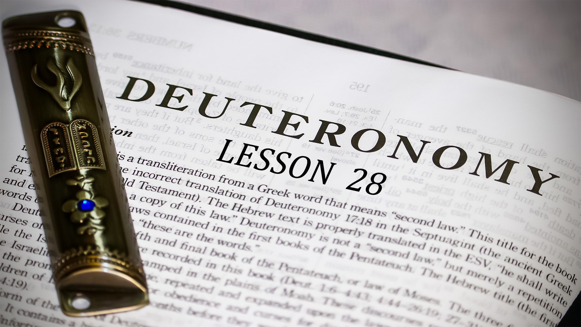 Lesson 28 - Deuteronomy 22 - Torah Class
