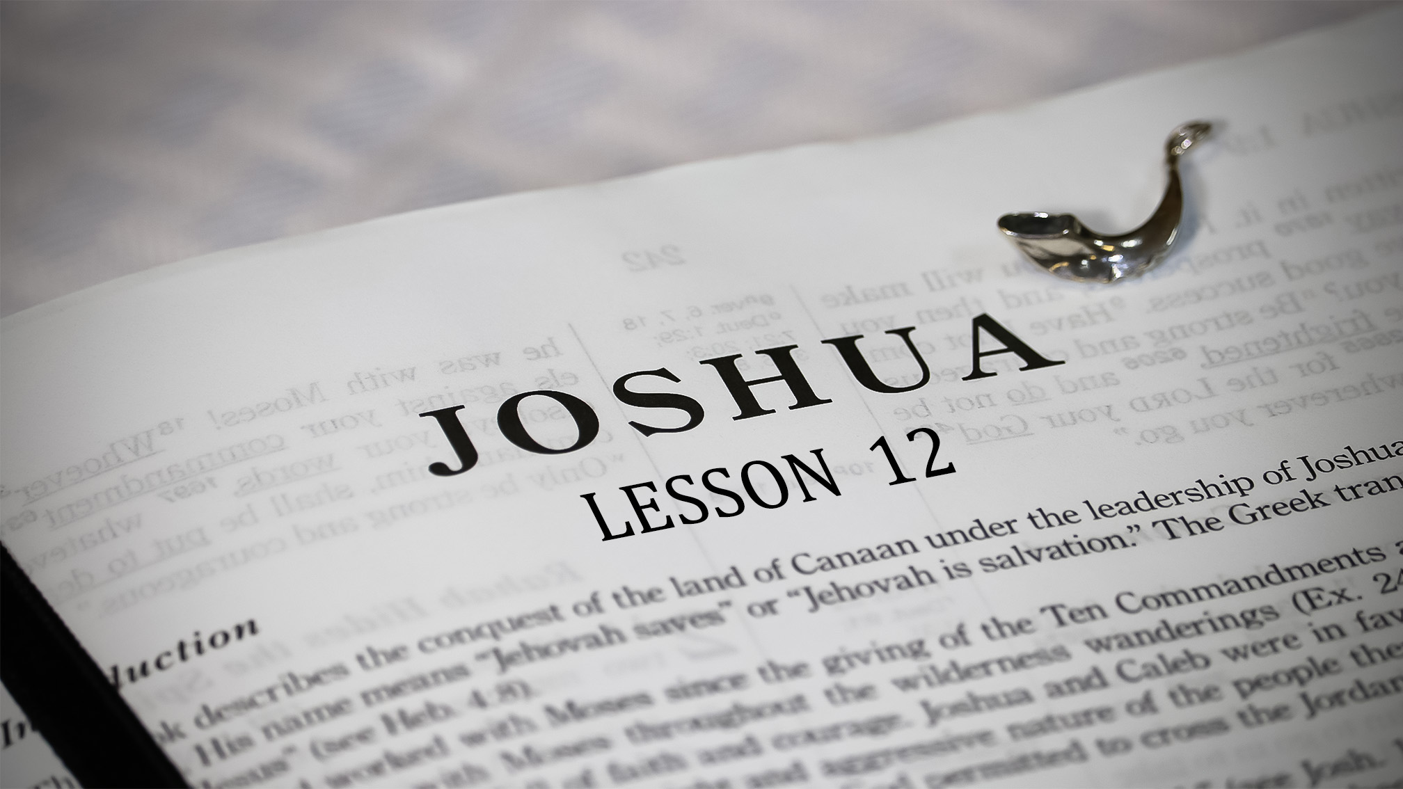 Lesson 12 - Joshua 8 - Torah Class