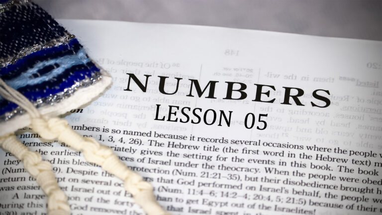 Lesson 5 - Numbers 4 & 5 - Torah Class