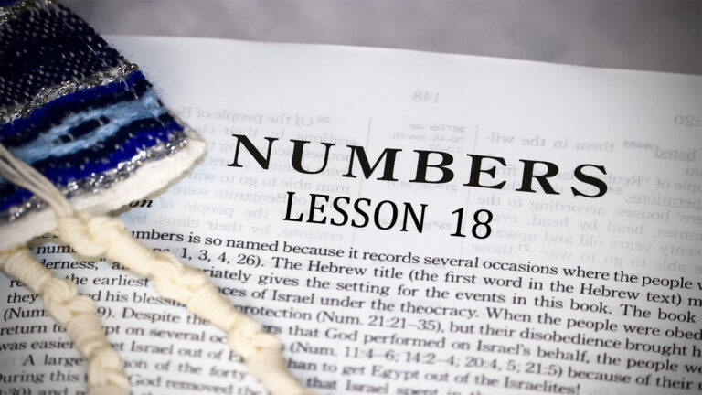 Lesson 18 - Numbers 15 Cont. - Torah Class