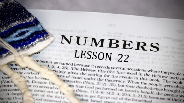 Lesson 22 - Numbers 16, 17, & 18 Concl. - Torah Class