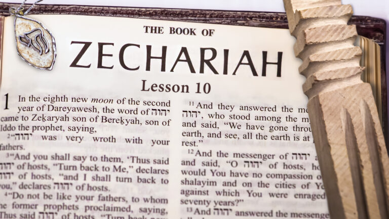 Lesson 10 - Zechariah Ch 5 & 6 - Torah Class